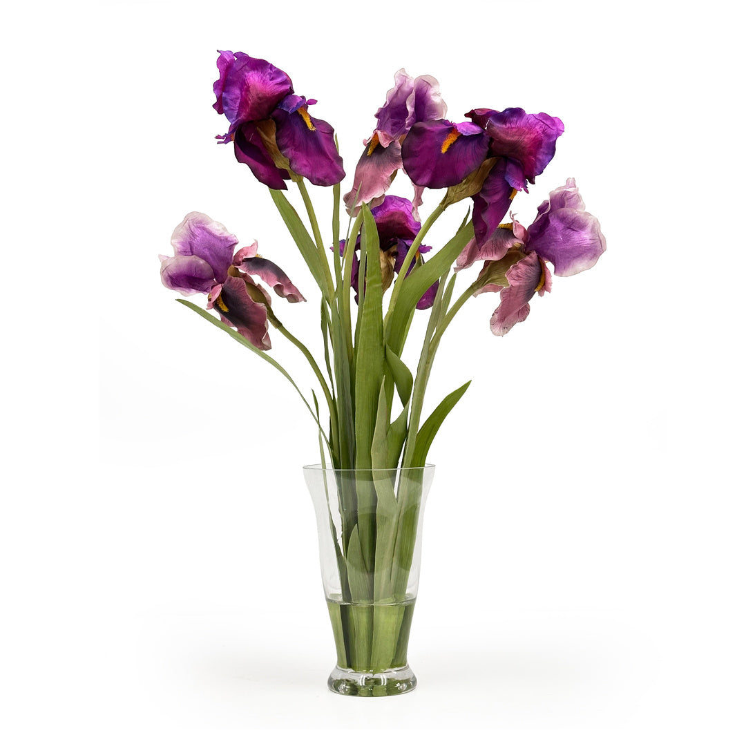 Bearded Iris Bouquet, Red & Purple – Gump's